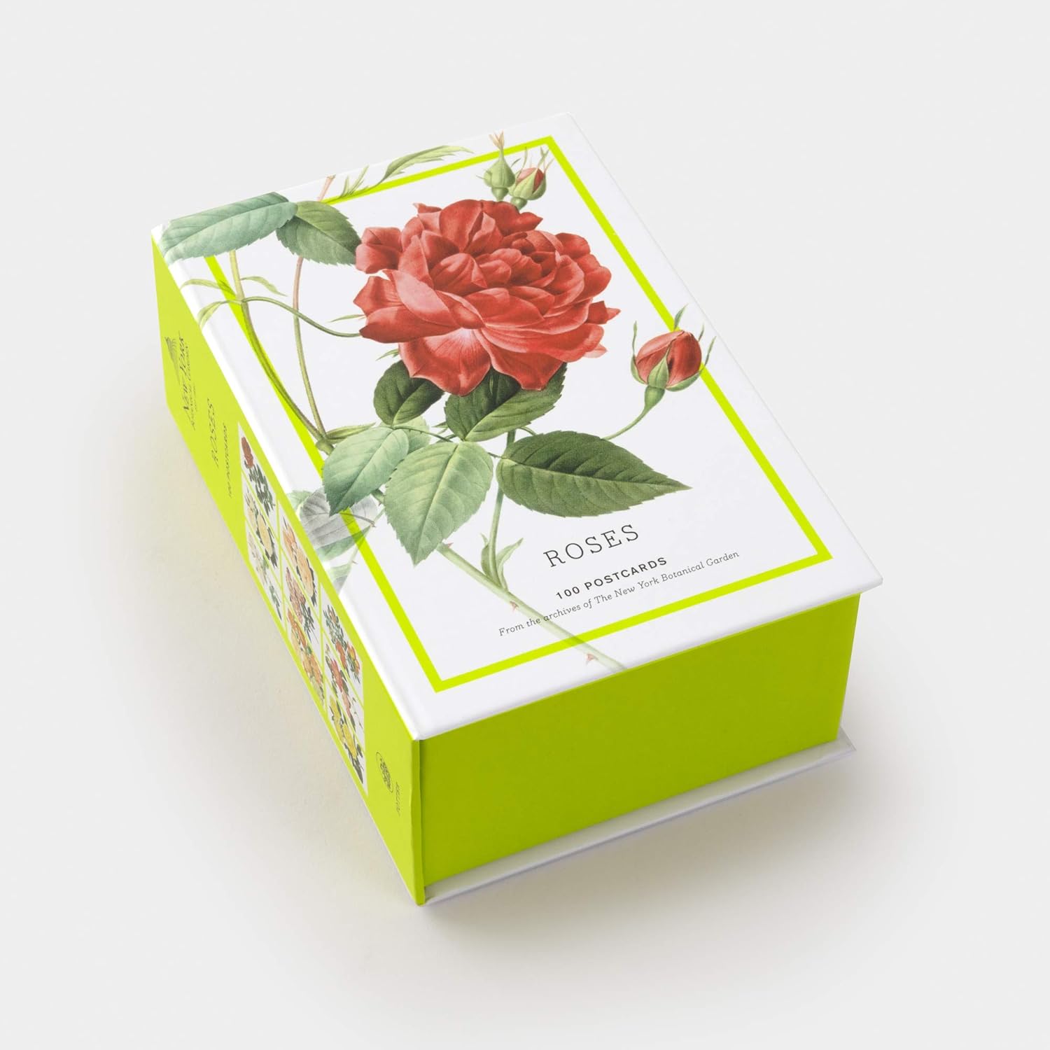 Roses by The New York Botanical Garden Postcards – Kitchen Store & More