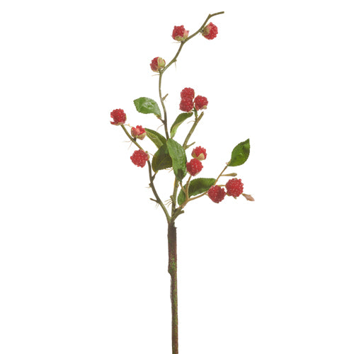 RAZ Imports - Raspberry Stem – Kitchen Store & More