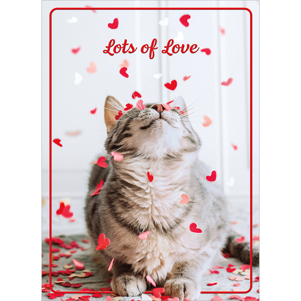 Avanti - Heart Confetti Cat Valentine Card – Kitchen Store & More