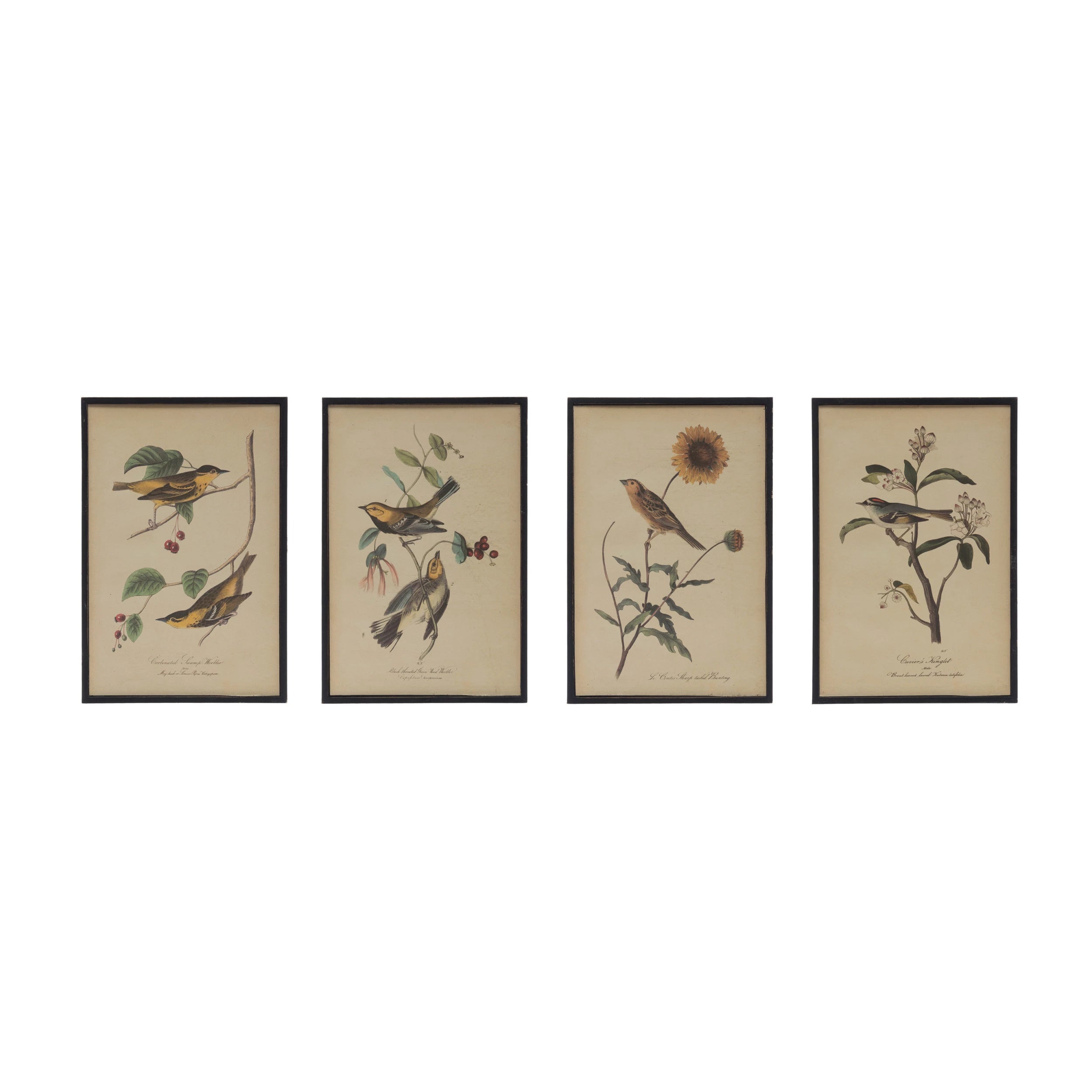 Creative Co-op - Bird & Flower Framed Wall Decor – Kitchen Store & More