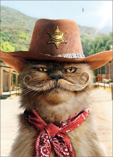 Avanti - Sheriff Cat with Mustache Pop-Out Birthday Card – Kitchen ...