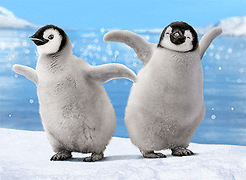 Avanti - Dancing Penguins Motion Birthday Card – Kitchen Store & More